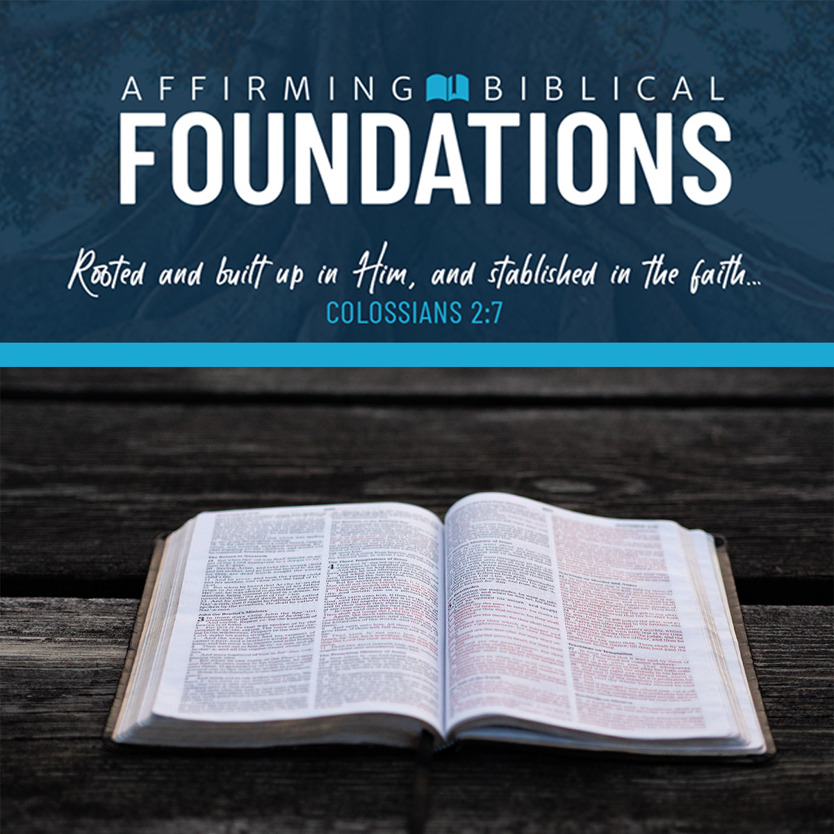 IBLP Online Store: Affirming Biblical Foundations Online Course and Workbook